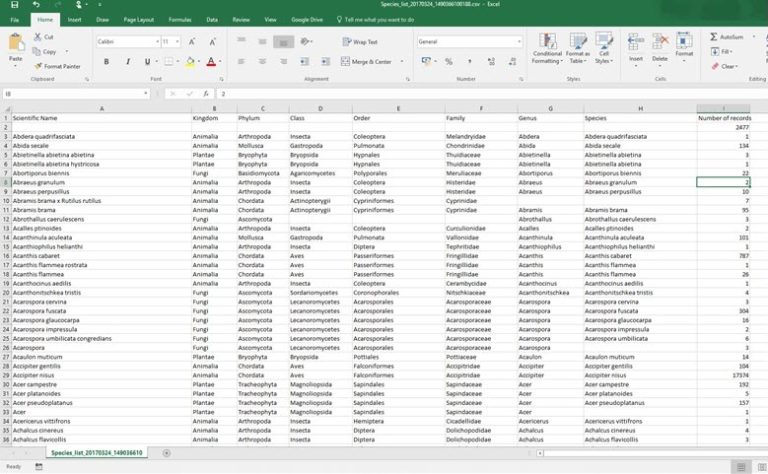 Export Checklist - NBN Documentation