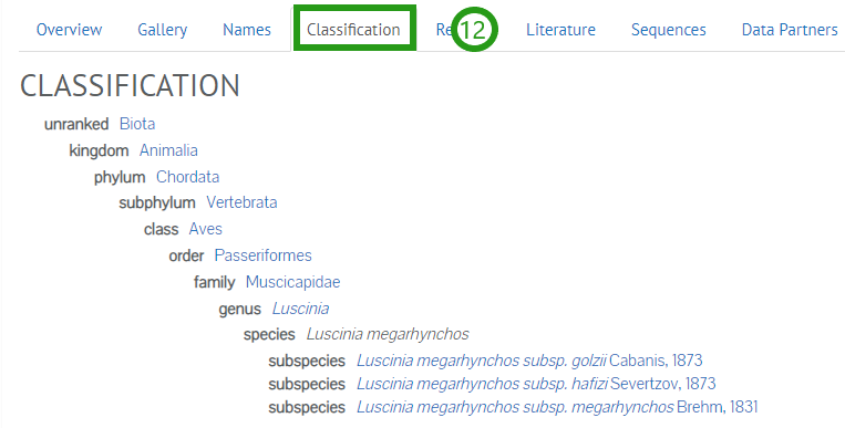 Overview-classification tab - NBN Documentation
