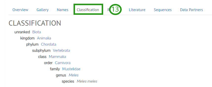 Overview-classification tab - NBN Documentation
