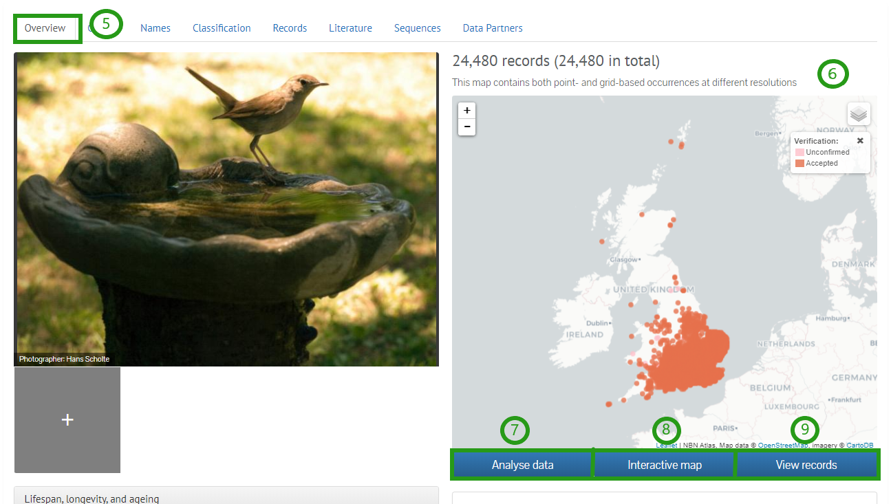 Finding basic species information - NBN Documentation