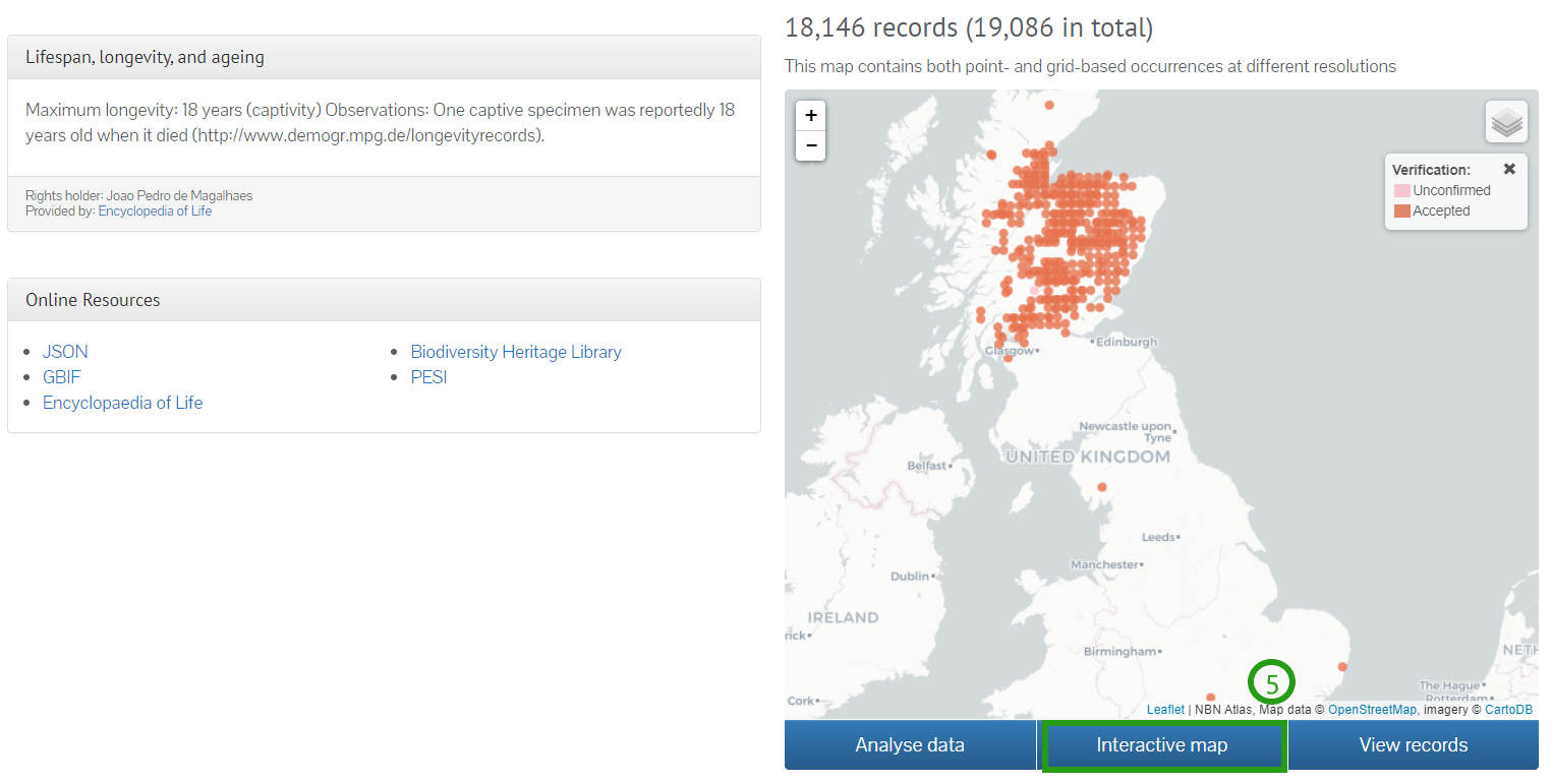 Viewing species info on a map-Interactive map - NBN Documentation
